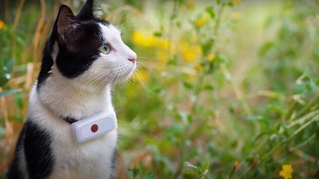 Los 6 mejores localizadores GPS para múltiples usos